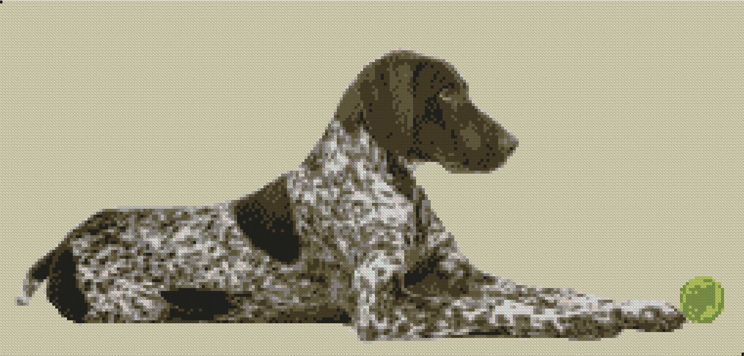 German Shorthaired Pointer Dog Puppy Counted Cross Stitch Kit - Etsy