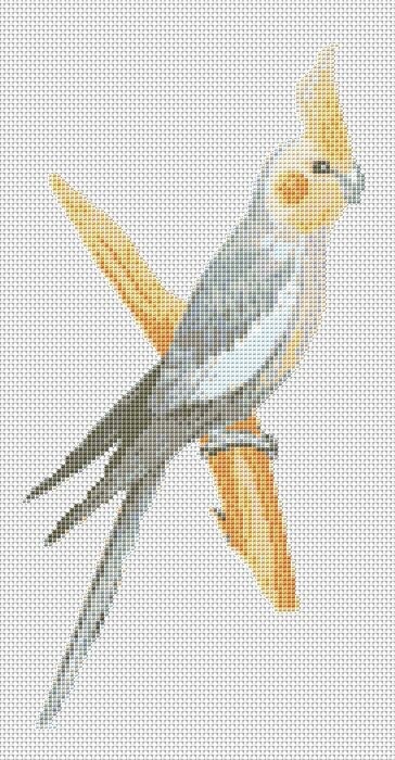 Cockatiel Bird Parakeet Counted Cross Stitch Kit 6.5" X 12" 14 Count - Etsy