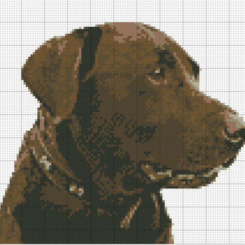 Chocolate Labrador - Etsy