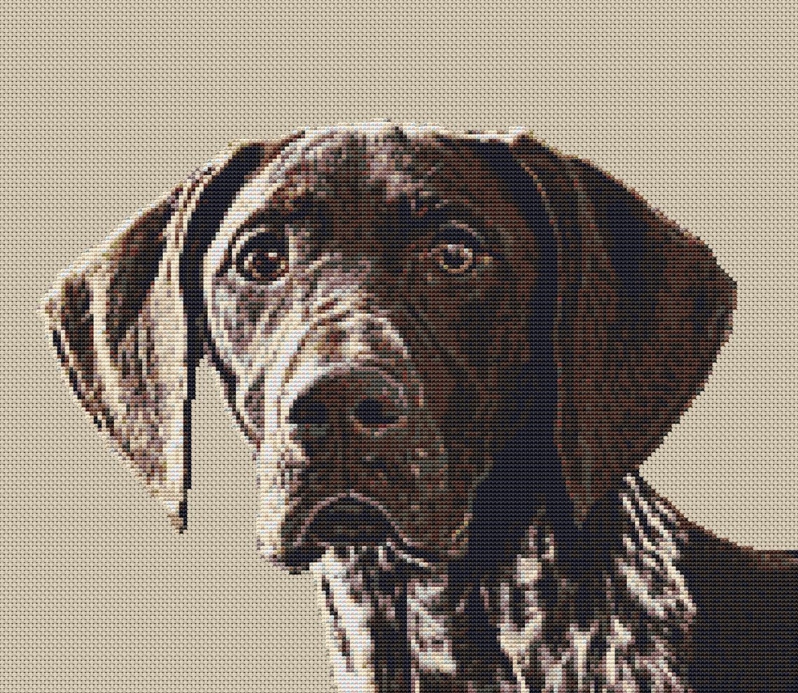 German Shorthaired Pointer Dog Puppy Counted Cross Stitch Kit 12" X 14 ...