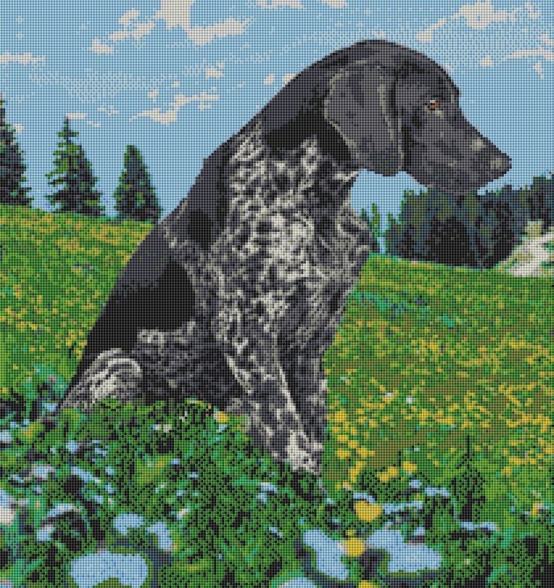 German Shorthaired Pointer Dog Puppy Counted Cross Stitch Kit 16" X 14. ...