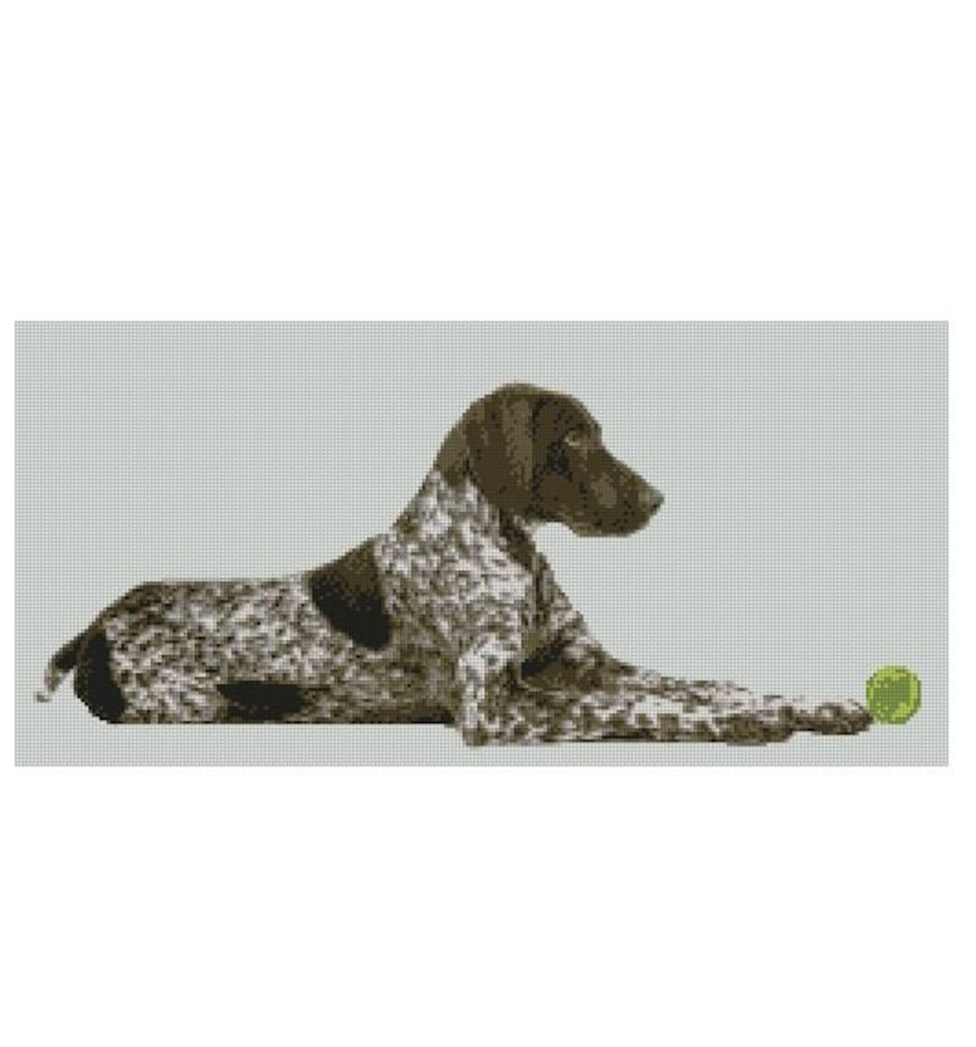 German Shorthaired Pointer Dog Puppy Counted Cross Stitch Kit 18 X 9 - Etsy