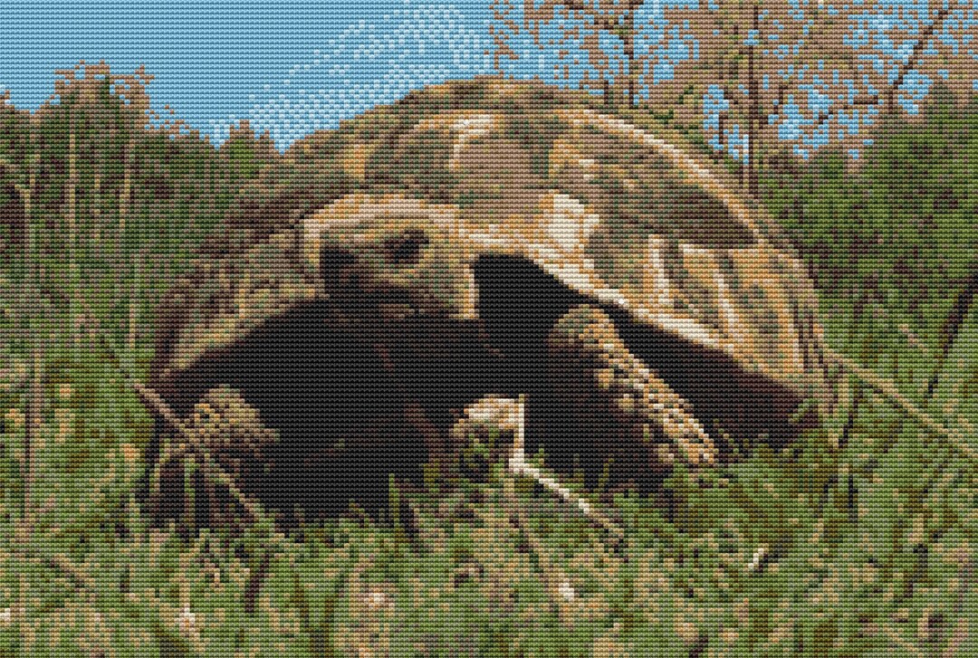 Tortoise 2 Counted Cross Stitch Kit 14" X 9.5" (35.5 X 24 Cm) A2490-36 ...