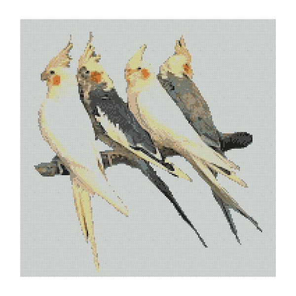 Cockatiel Cross Stitch - Etsy