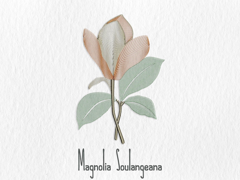 Magnolia Flower - Magnolia Soulangeana - Digital Embroidery File ...