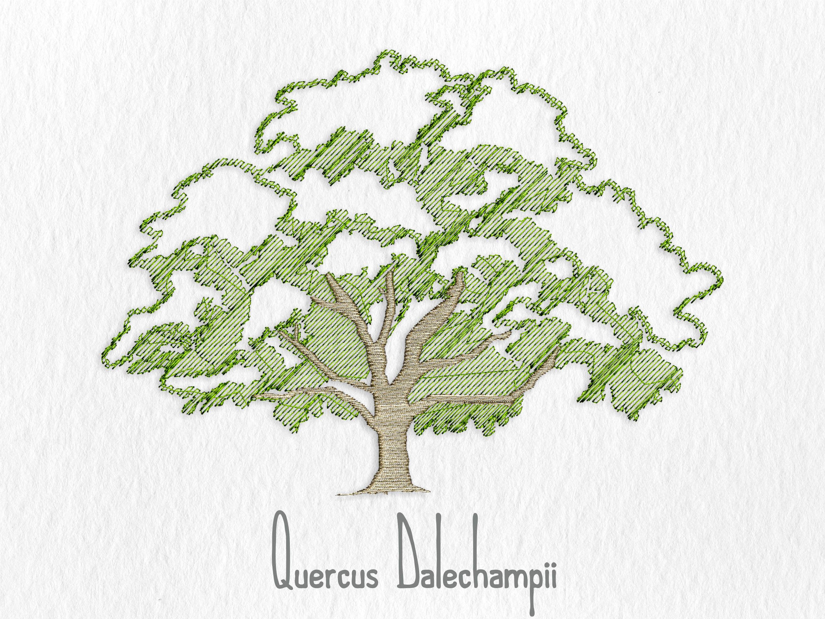Oak Tree Embroidery - Digital Embroidery File - Botanical Embroidery ...