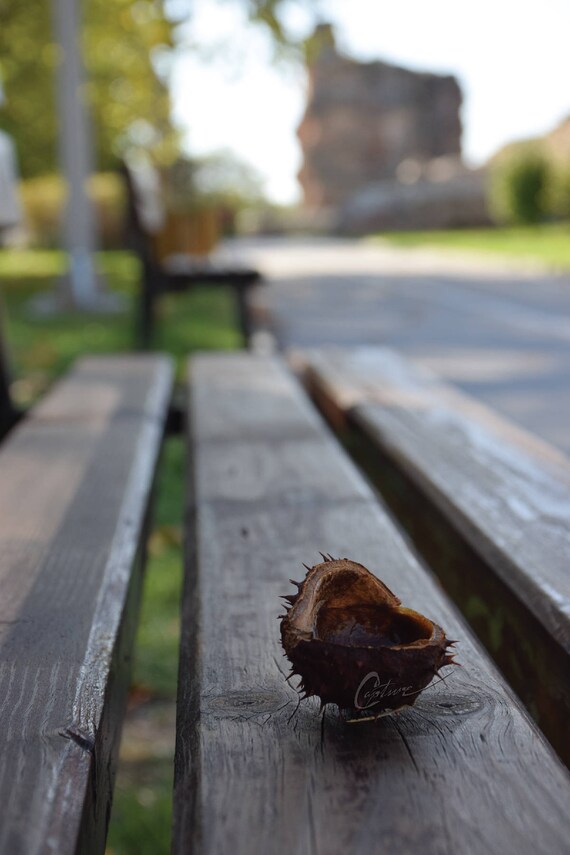 BENCH Perspective Photography /044/ 8 JPG Instant Download | Etsy