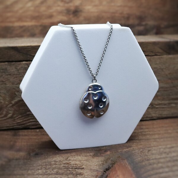 Ladybug Locket - Etsy