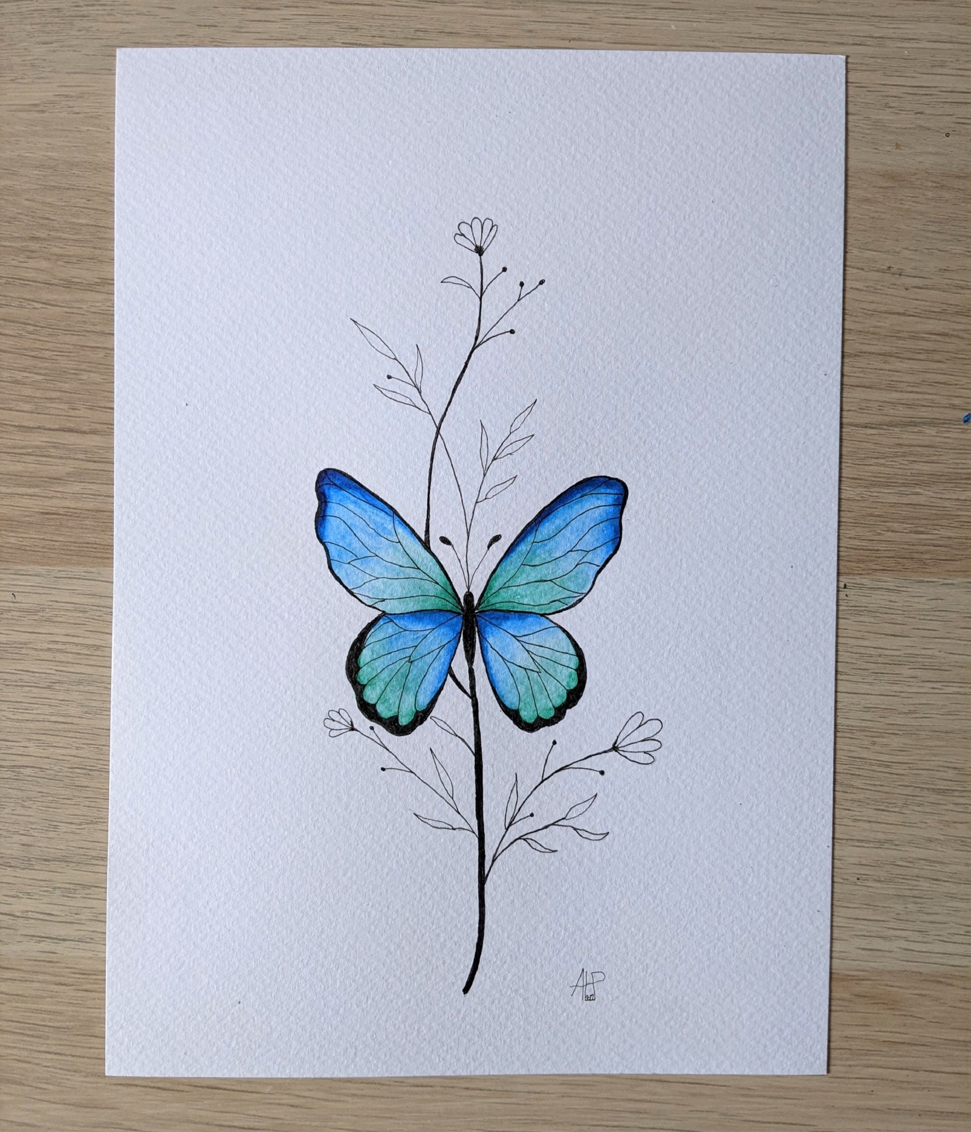 Original Watercolors Turtle Line Art Turtle Line Art Butterfly Line Art ...