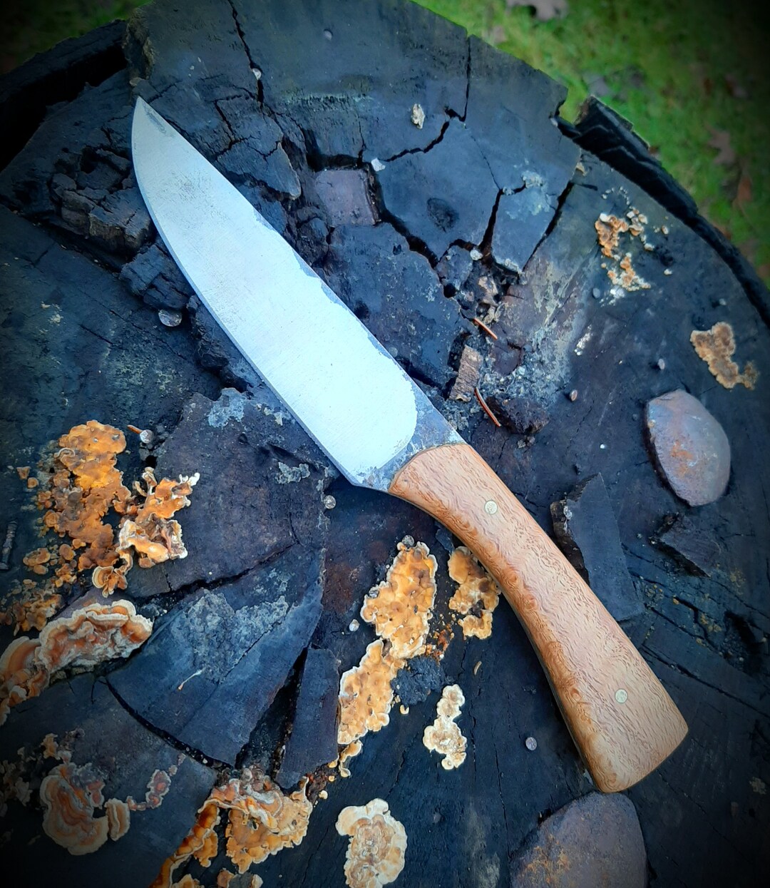 Hand Forged Curly Red Oak Knife - Etsy