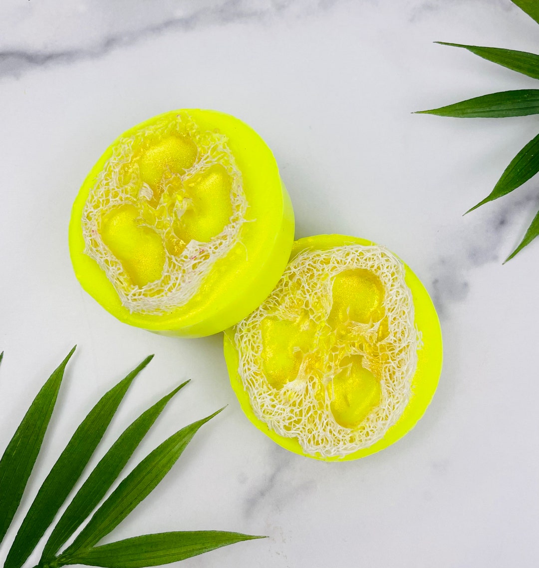 Loofah Soap | Coconut Milk Soap | Spa Gift | Beach House Decor - Etsy