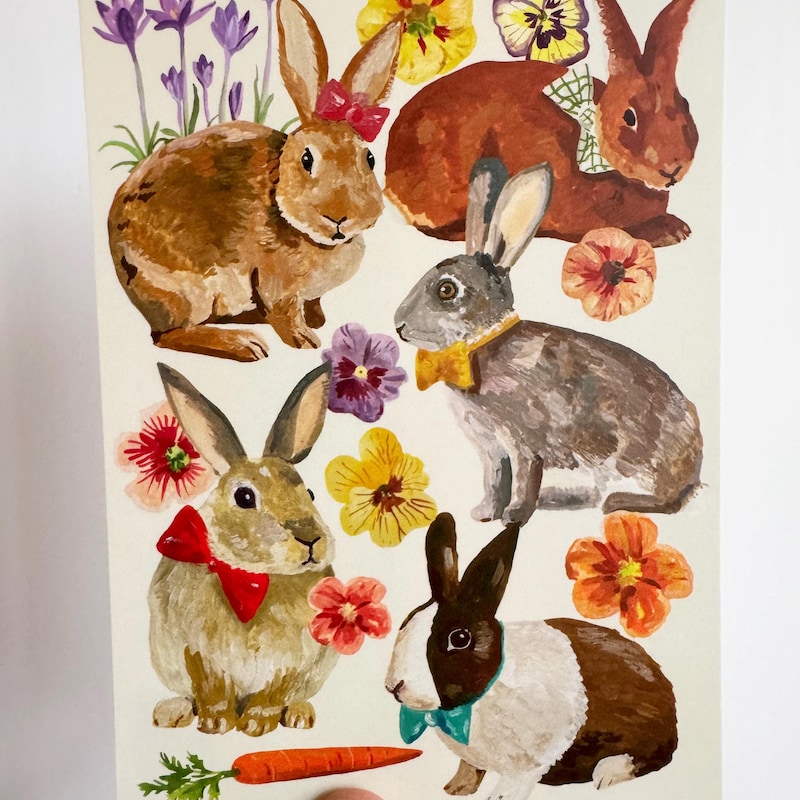 Rabbit Postcard - Etsy