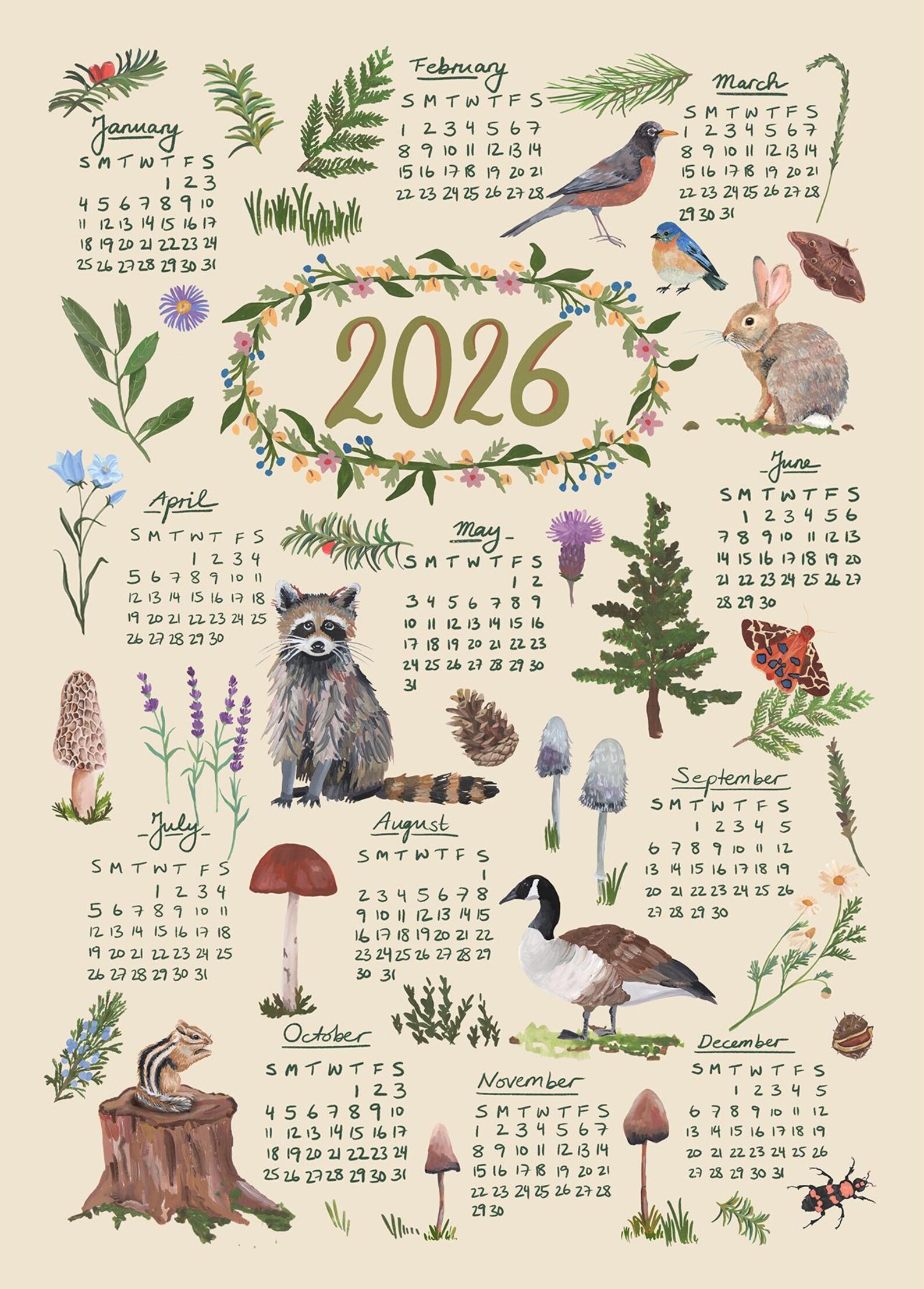 2026 Calendars - Set of 5 Postcards - Etsy