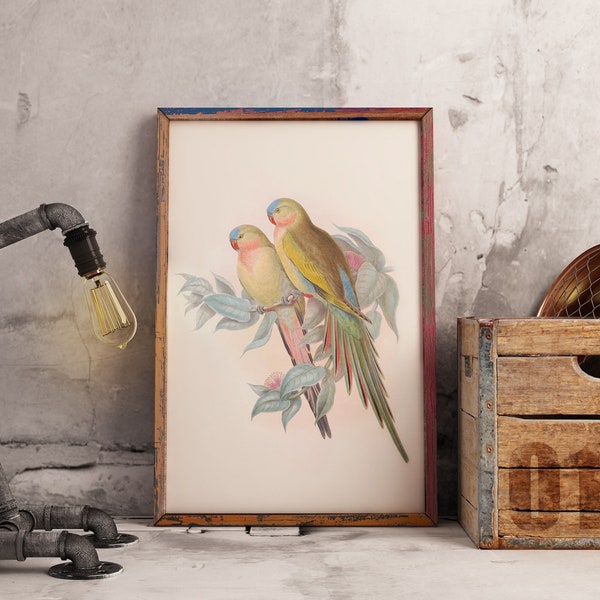Parrot Poster - Etsy