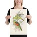 Australian Native Bird Print | Australian Parrot Poster | Red Winged ...