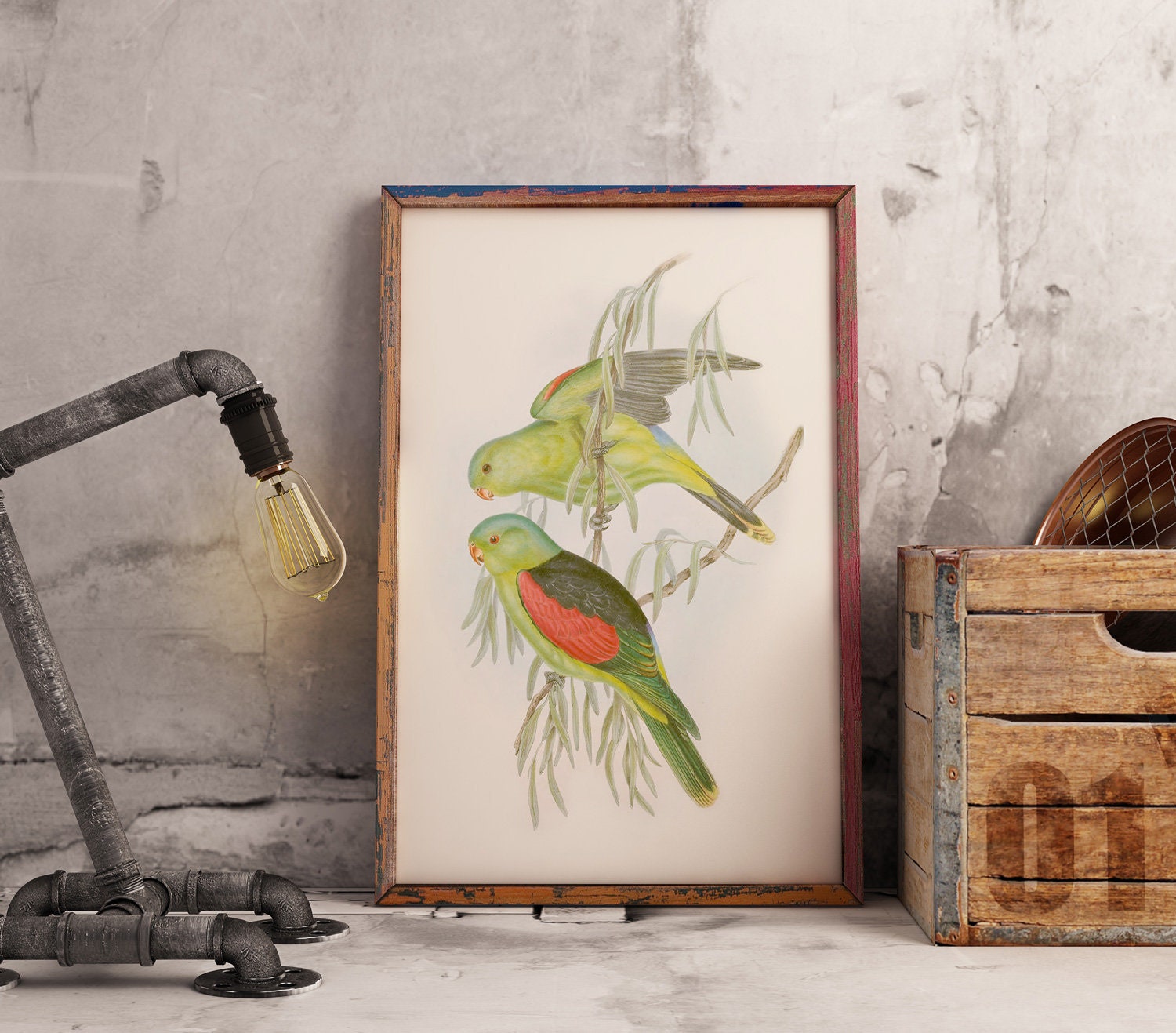 Australian Native Bird Print Australian Parrot Poster Red Winged Parrot ...