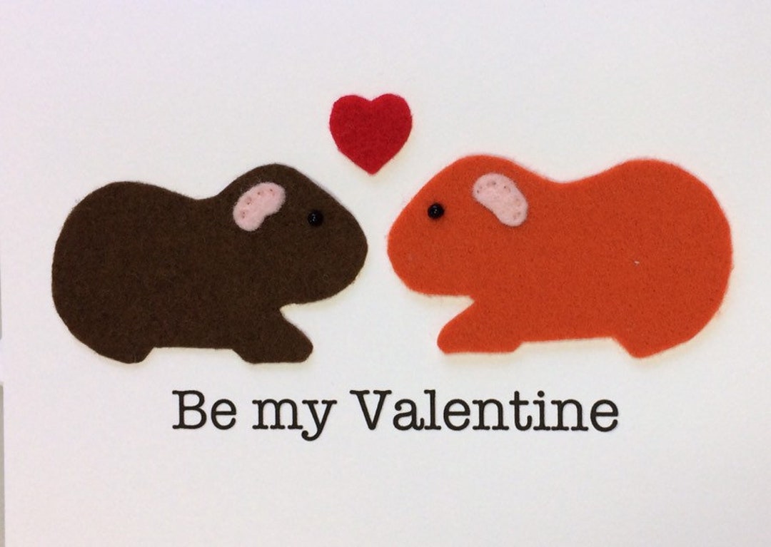 Guinea Pig Valentine Card - Valentine Card - Guinea Pig Valentine’s ...