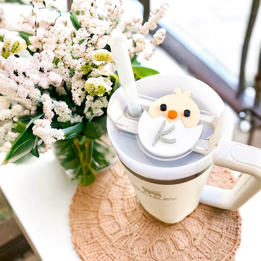 Cute Easter Chick Tumbler Topper | Tumbler Topper | Spring Topper| for ...
