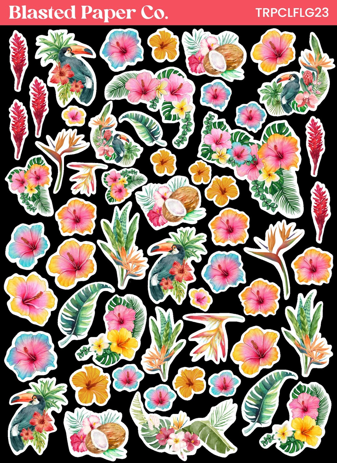 Tropical Planner Stickers Printable Stickers Planners BUJO Bullet ...