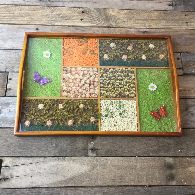 Nature Specimen - Etsy