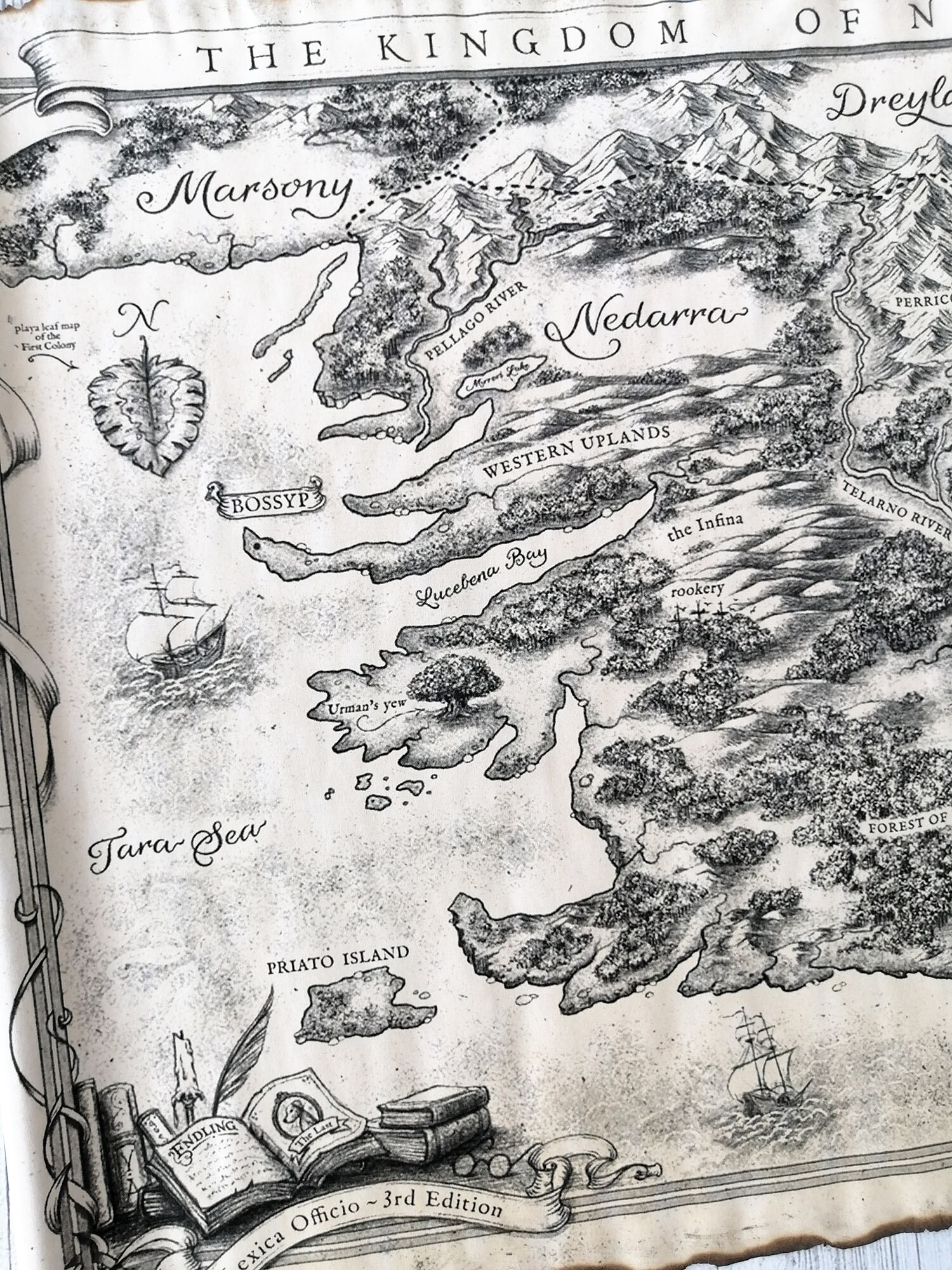 Endling Series Map, Handmade Nedarra Kingdom Scroll - Etsy