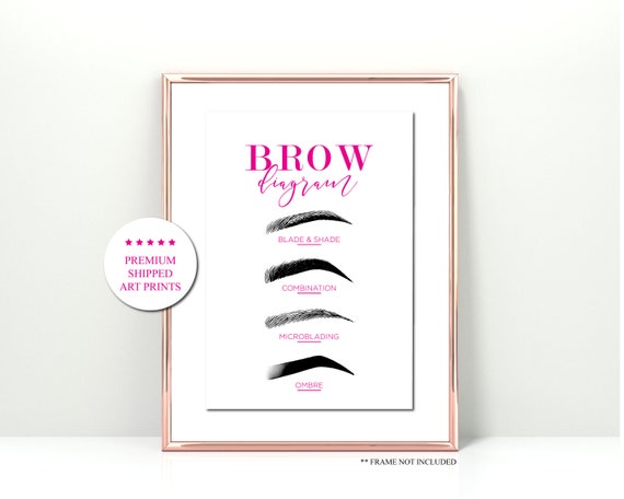 Eyebrow Diagram Print Brow Chart Poster Microblading Chart | Etsy
