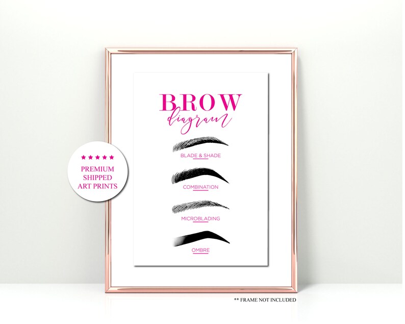 Eyebrow Diagram Print Brow Chart Poster Microblading Chart | Etsy