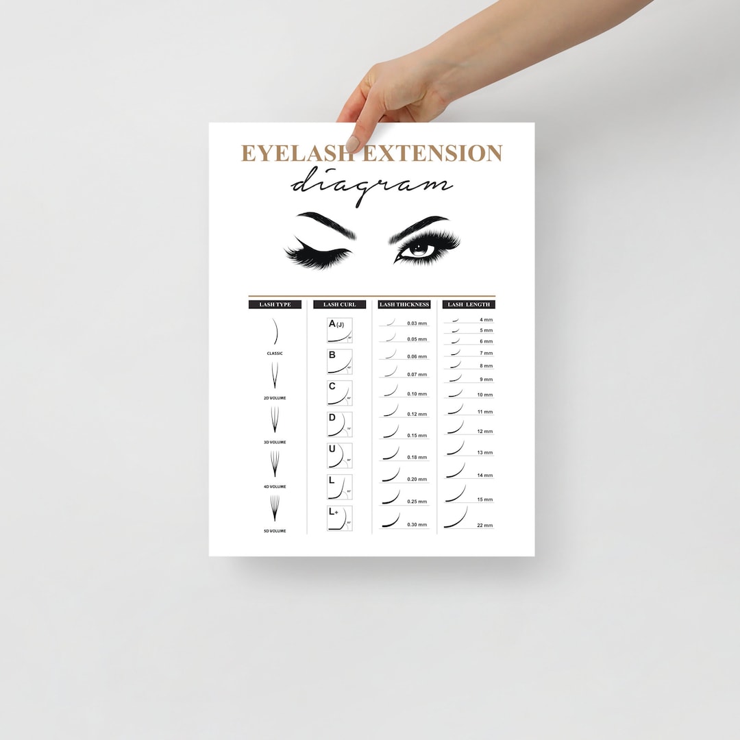 Eyebrow Chart Poster Eyebrow Guide I Beauty Therapist Diagram - Etsy