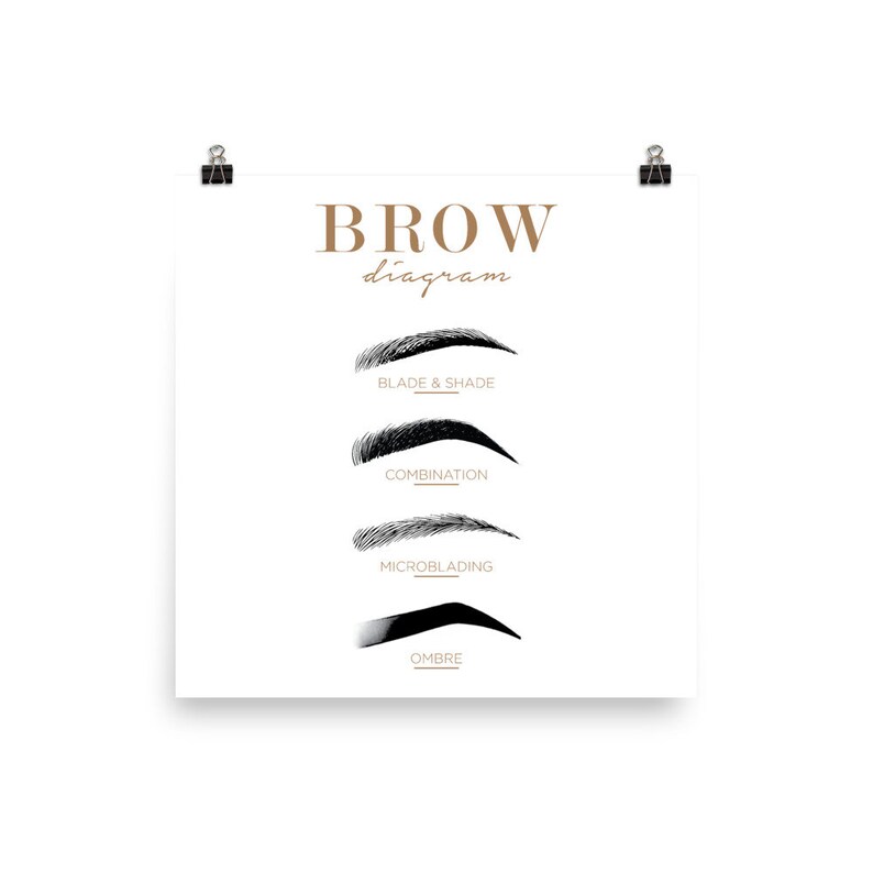 Brow Chart Poster I Microblading Chart I Eyebrow Guide I - Etsy