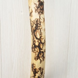 SUPER Unique Tree Branch Door Handle, Solid Natural Burned Wood Door ...
