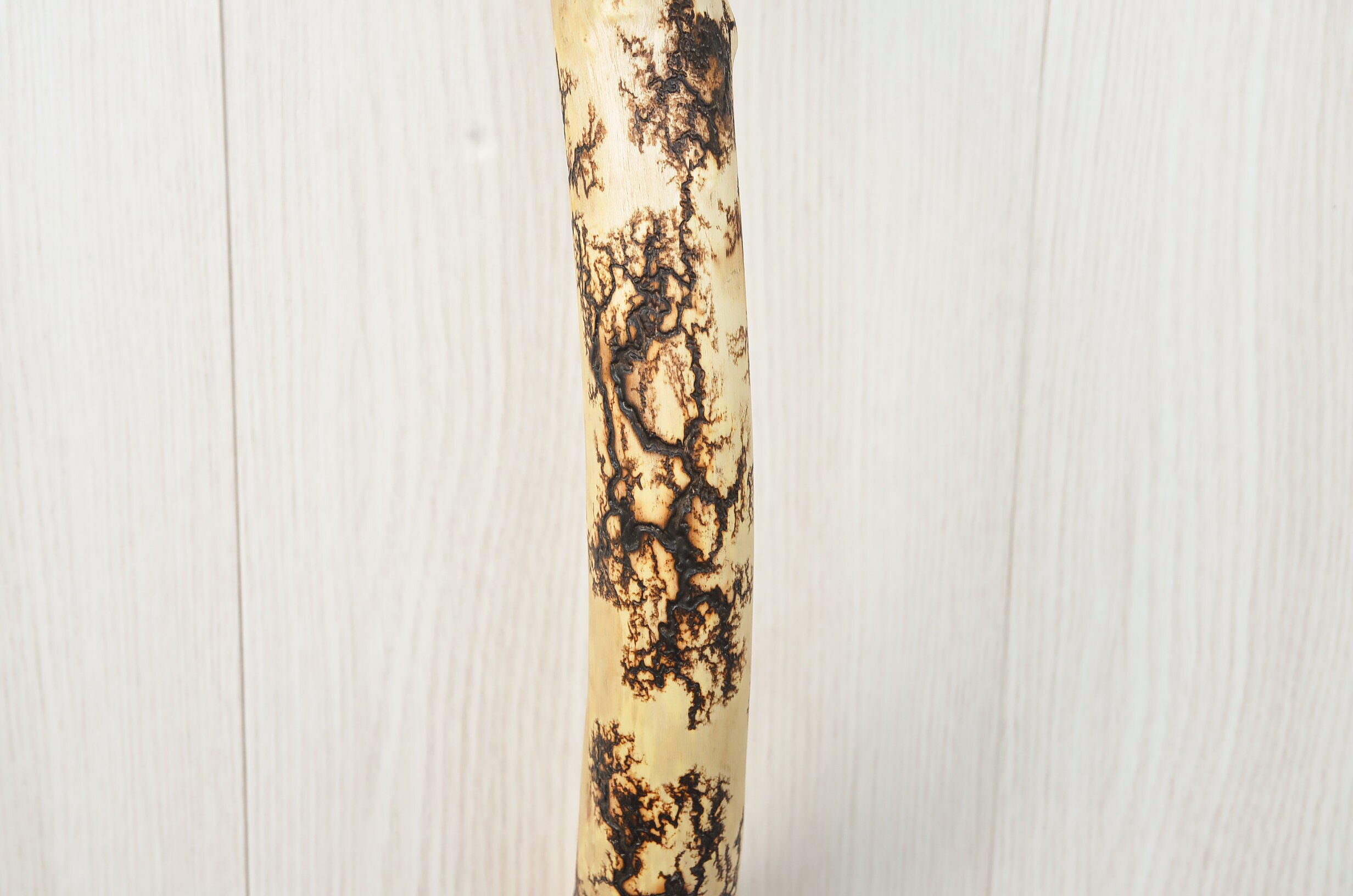 SUPER Unique Tree Branch Door Handle, Solid Natural Burned Wood Door ...