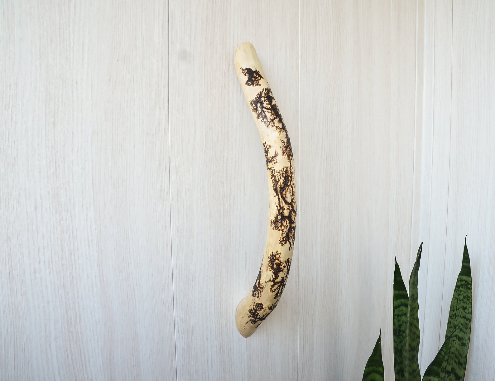 SUPER Unique Tree Branch Door Handle, Solid Natural Burned Wood Door ...