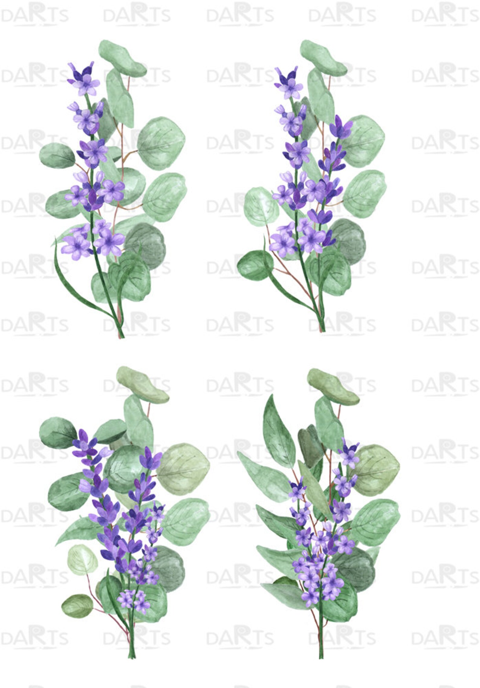 Watercolor Eucalyptus Lavender Clipart, Greenery Clipart, Floral ...