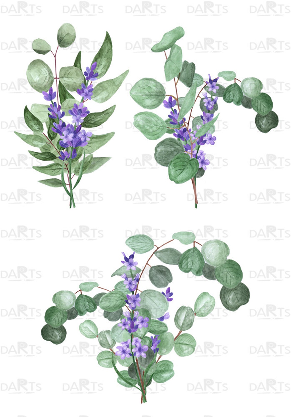 Watercolor Eucalyptus Lavender Clipart, Greenery Clipart, Floral ...