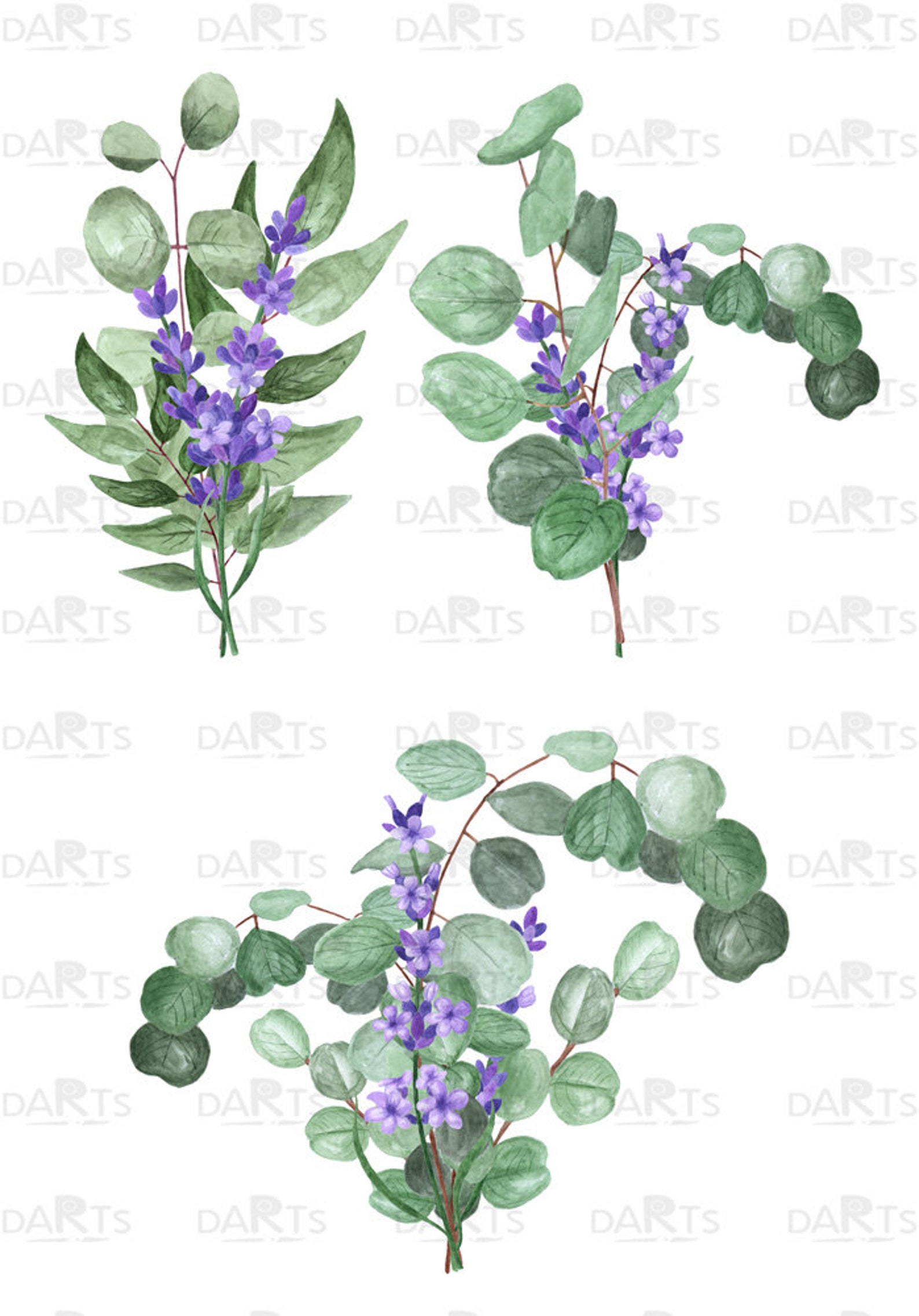 Watercolor Eucalyptus Lavender Clipart, Greenery Clipart, Floral ...