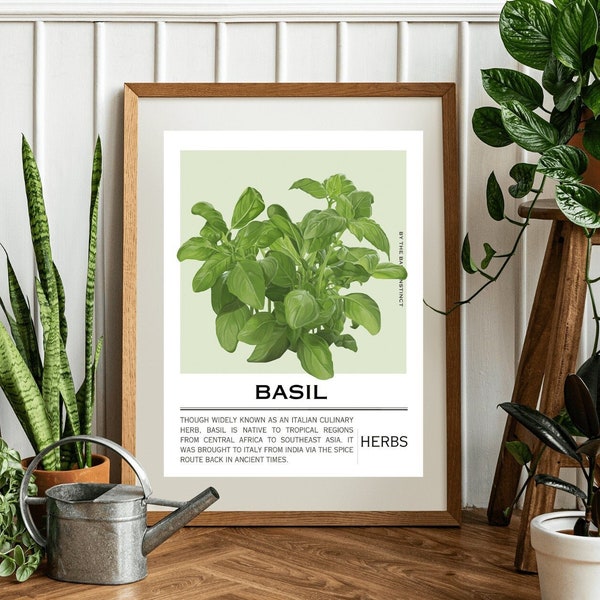 Basil Art - Etsy
