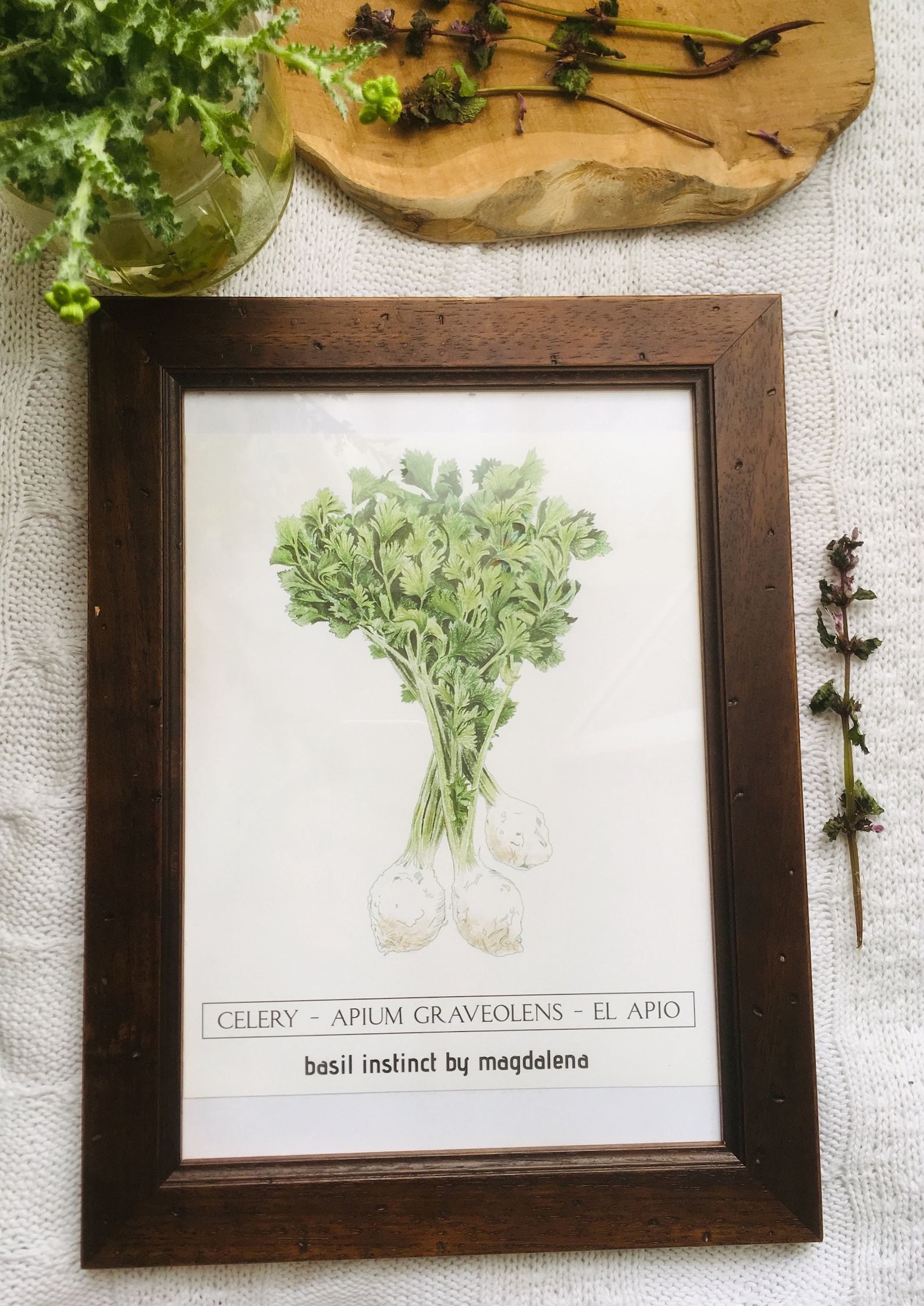 Celery Art Print Celery drawing Giclee Print Green | Etsy