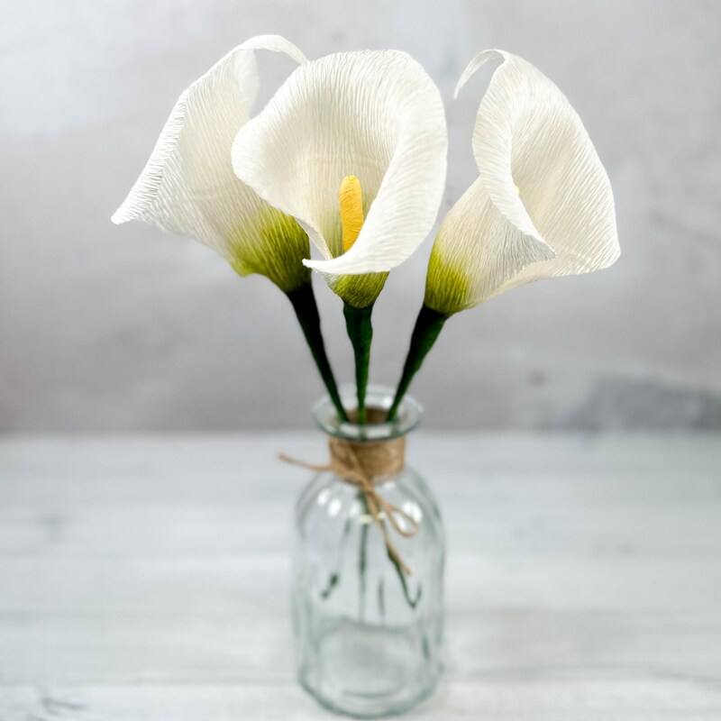 Paper Calla Lily - Etsy