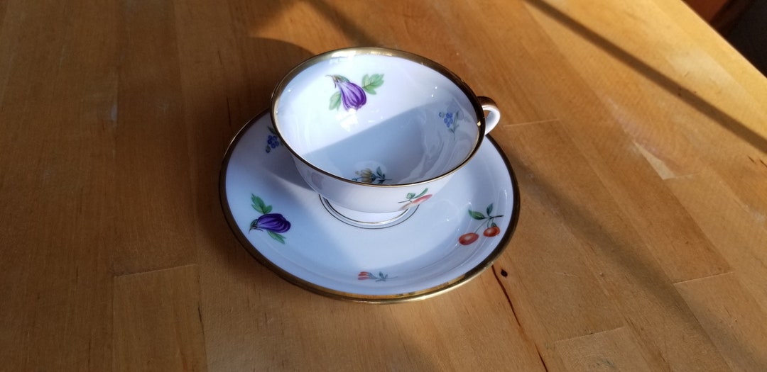 Vintage Eschenbach Fruit and Flower Tea Cup and Saucer - Antique Tea ...
