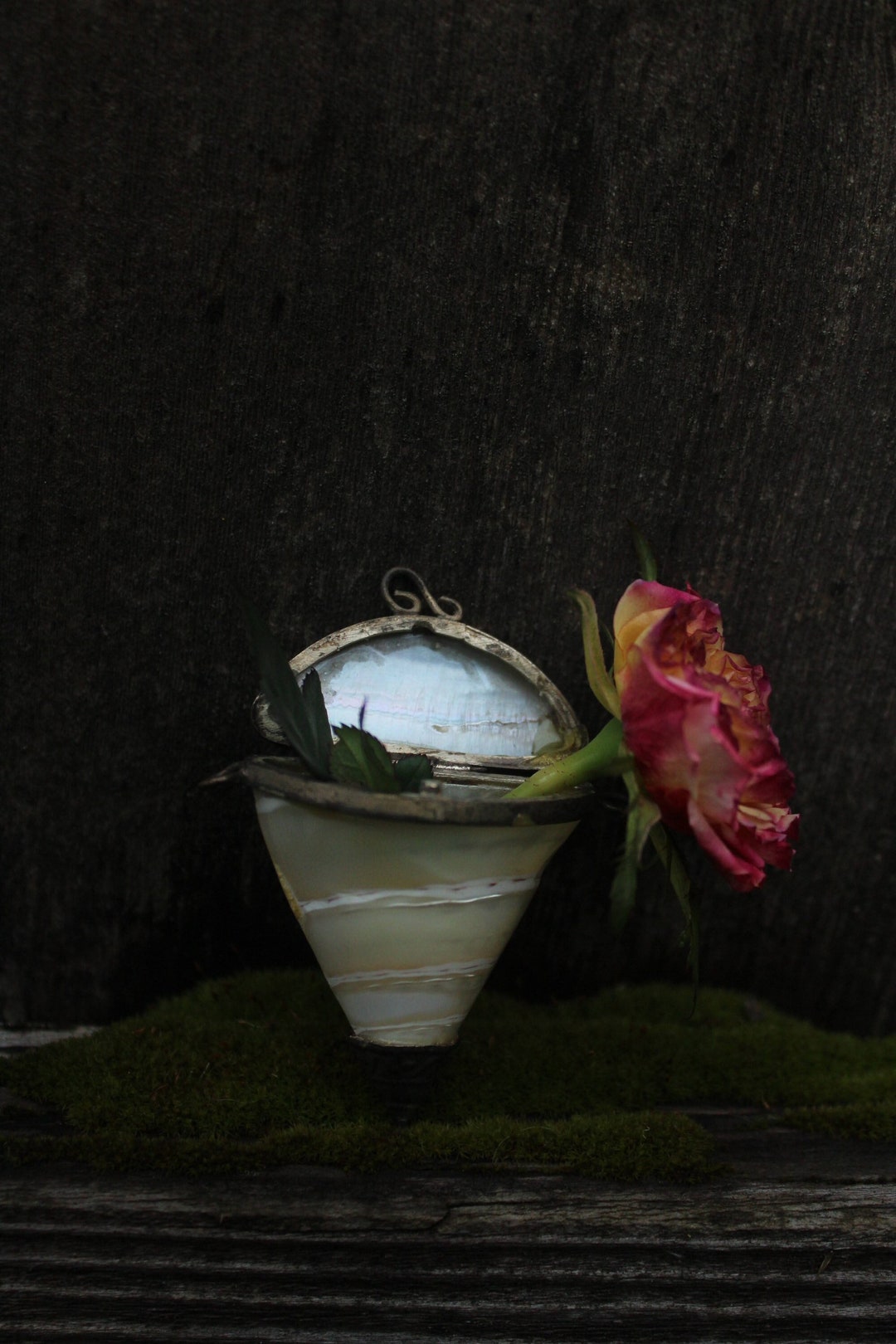 Mother of Pearl Vinaigrette/snuff Box Pendant- C.1900’s - Etsy