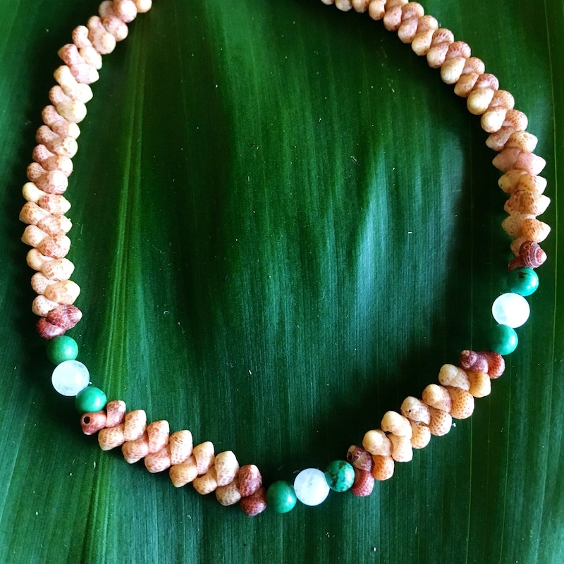 Kahelelani Shells - Etsy
