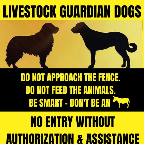 Livestock Guardian Dog Collar - Etsy