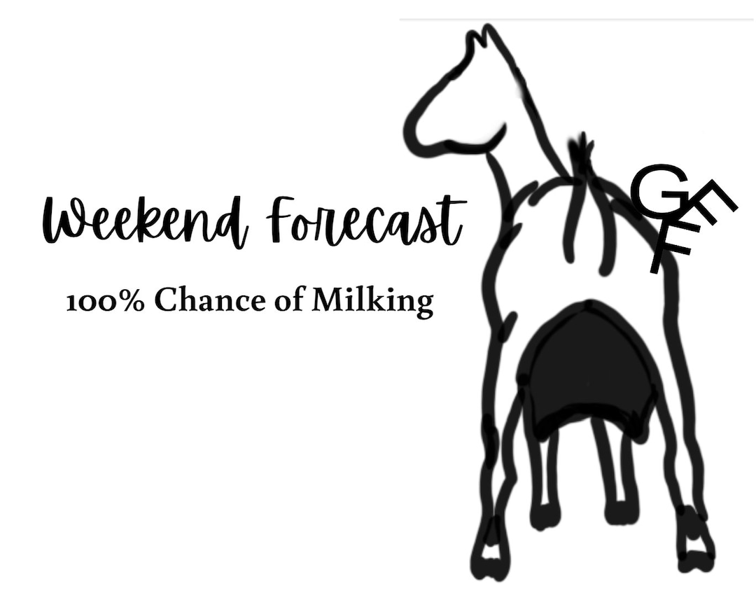 Dairy Goat Svg - Etsy