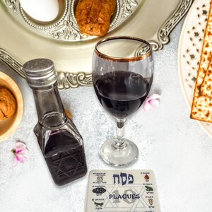 Passover Seder Ten 10 Plagues Coasters Set Jewish Judaica Pesach - Etsy