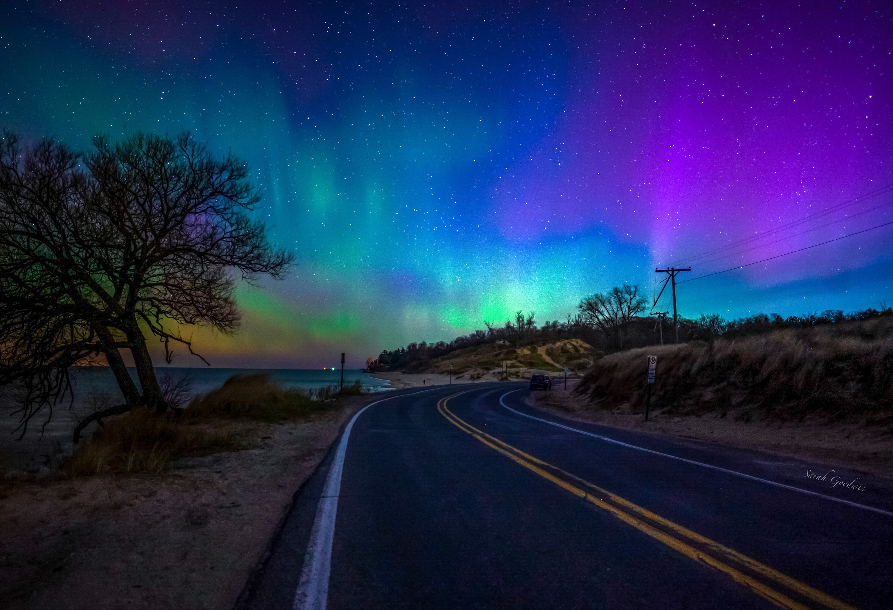 Scenic Drive Under the Northern Lights / Northern Lights / Tree / Duck ...