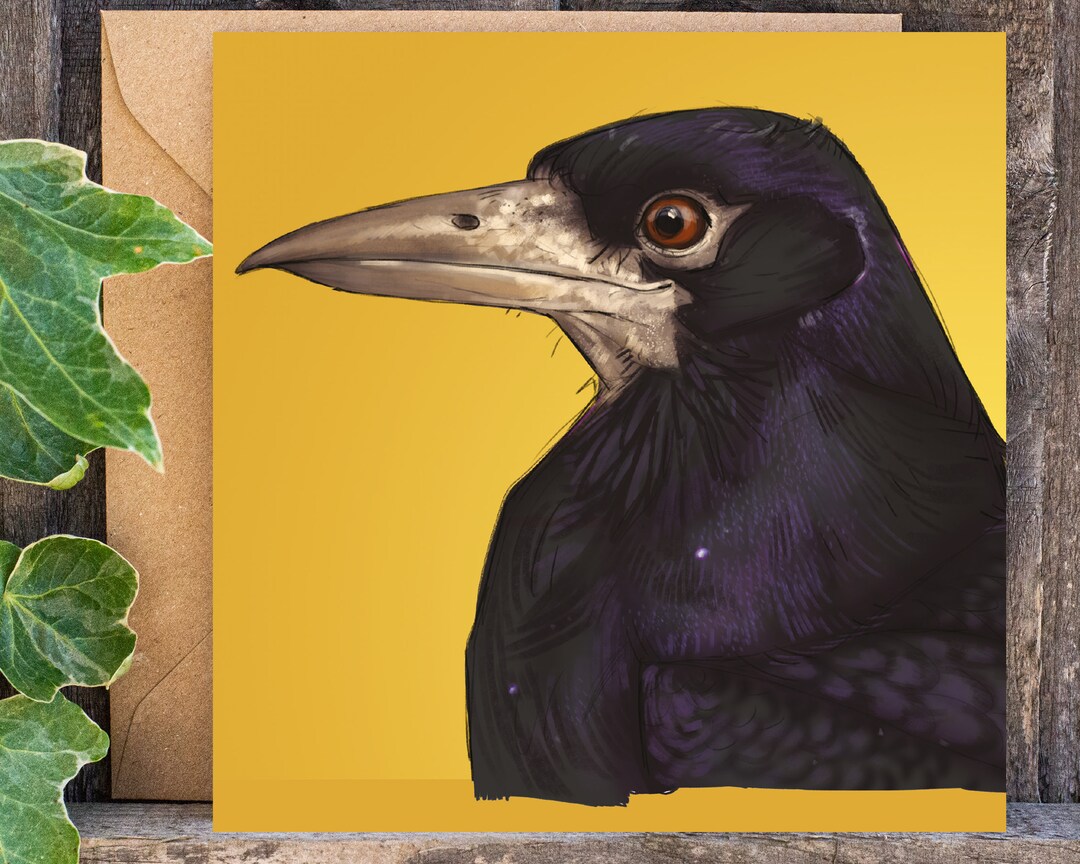 Rook Greeting Card | Birds | Crow | Raven - Etsy
