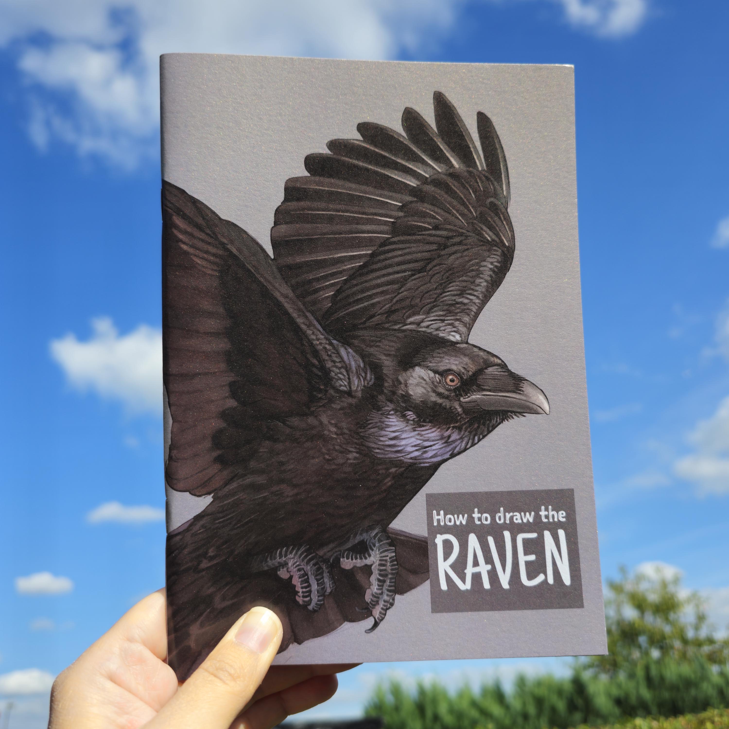 How To Draw Raven Wings