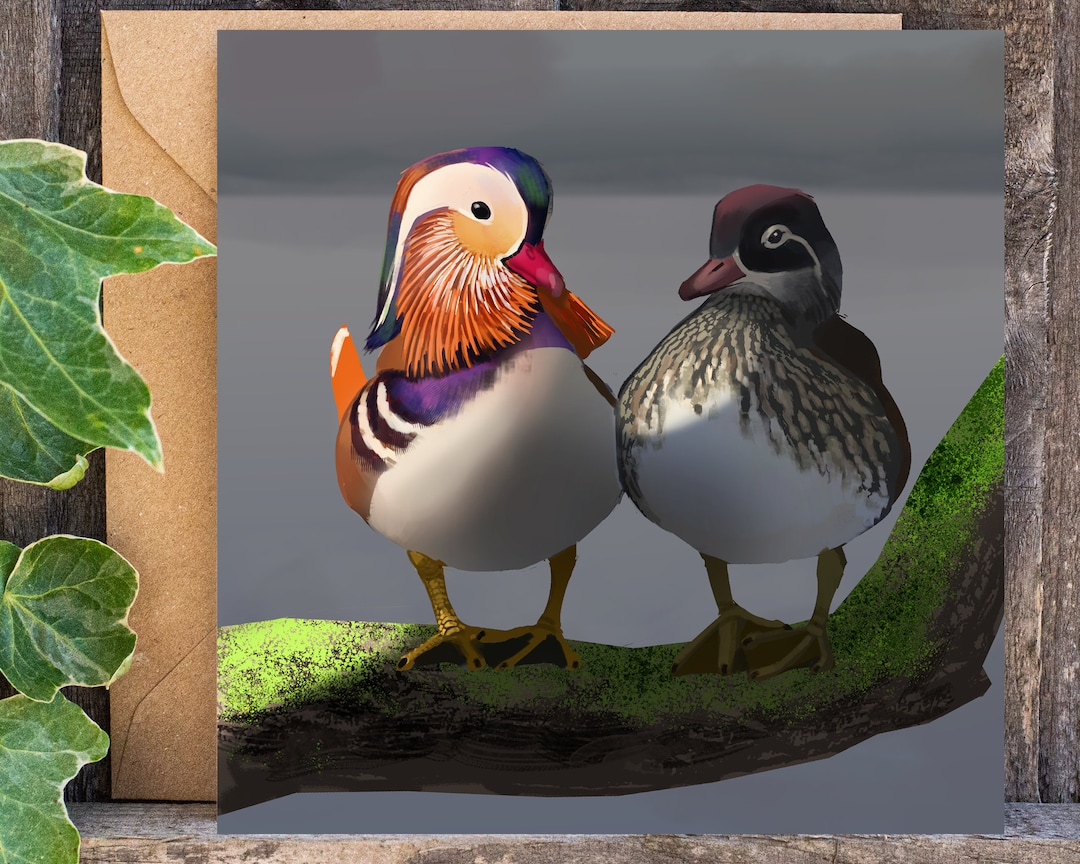 Mandarin Ducks Greeting Card | Duck Greeting Card Featuring Female and ...