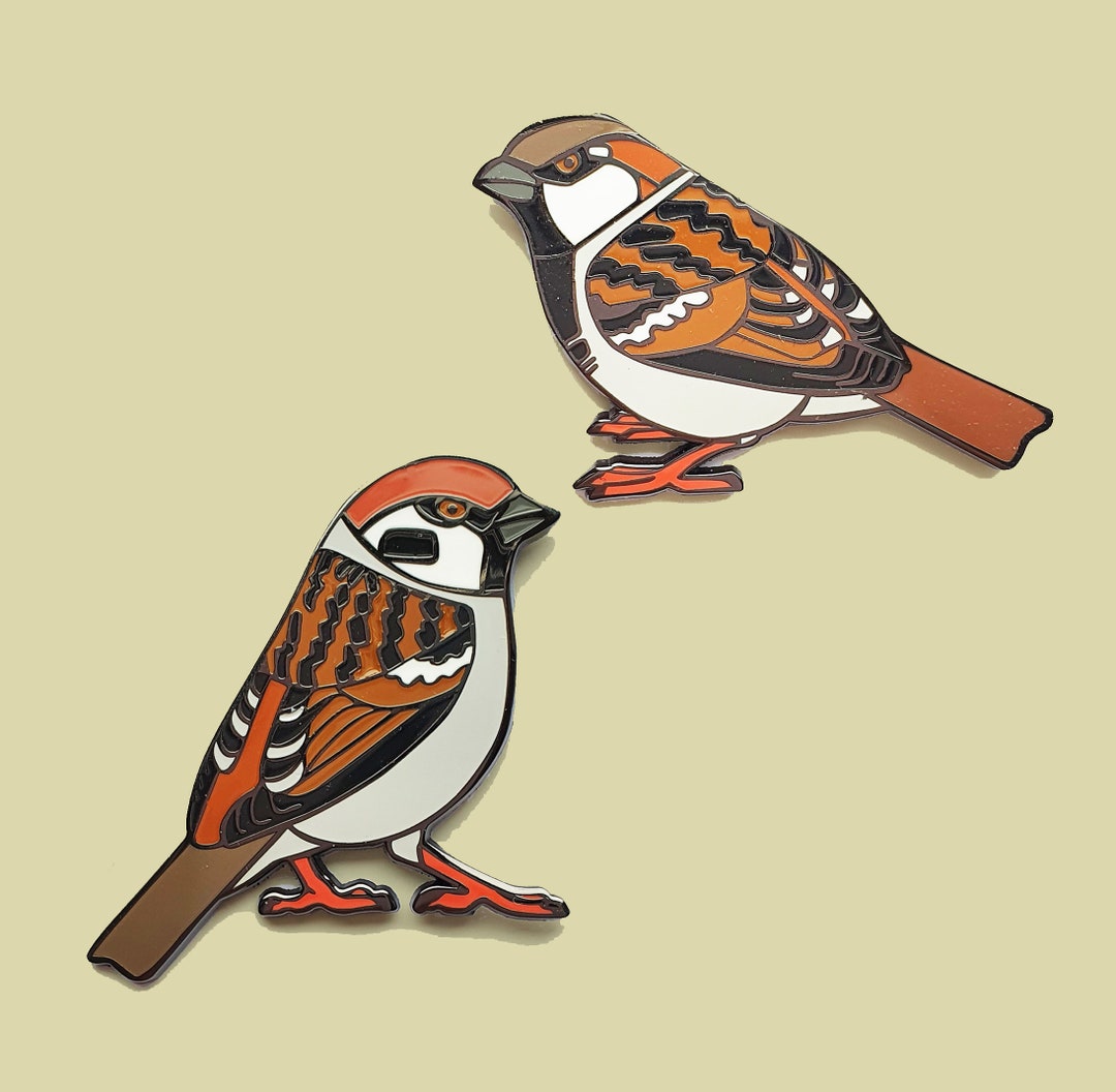 Tree Sparrow and House Sparrow Designer Enamel Pins - Etsy
