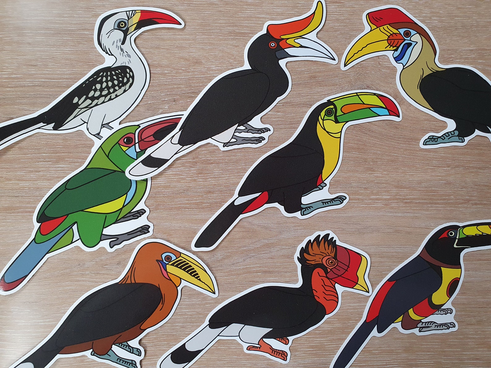 Toucan and Hornbill species Stickers Fiery billed aracari | Etsy